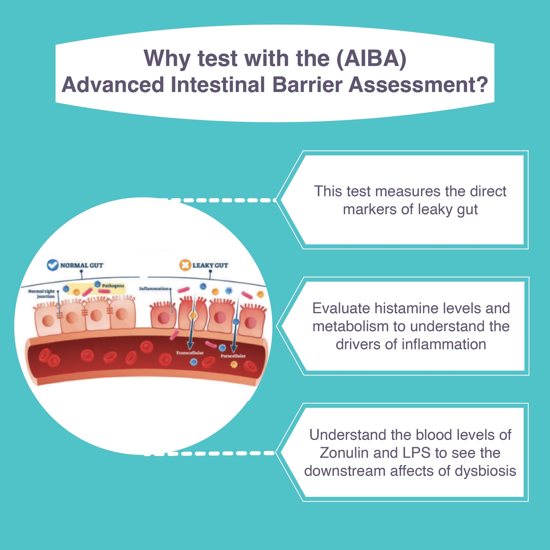 Advanced Intestinal Barrier Assessment (AIBA) – Lab Link